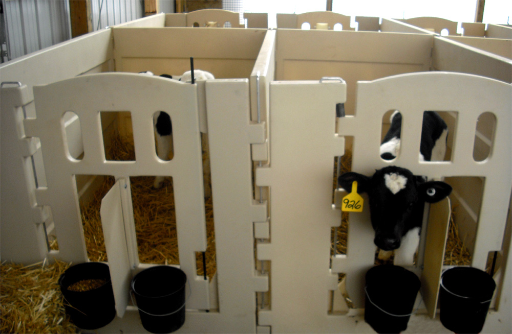 RSI Calf Systems - Calf Pens