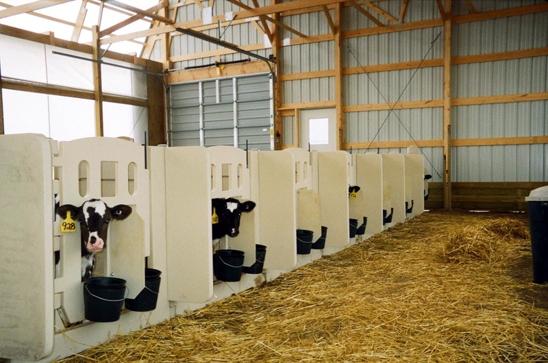 RSI Calf Systems - Calf Pens